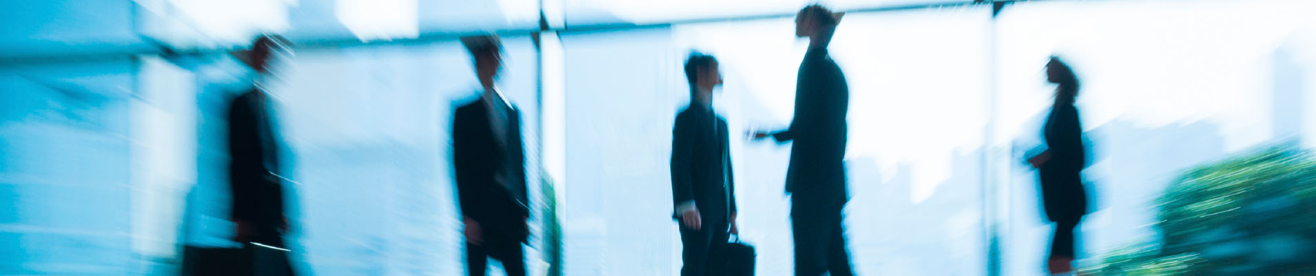 Techwuli Software Solutions - Join the Techwuli Team